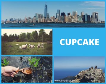 24 Quellen für lizenzfreie kostenlose Bilder