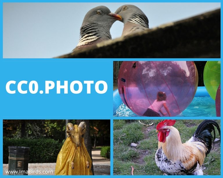 24 Quellen für lizenzfreie kostenlose Bilder