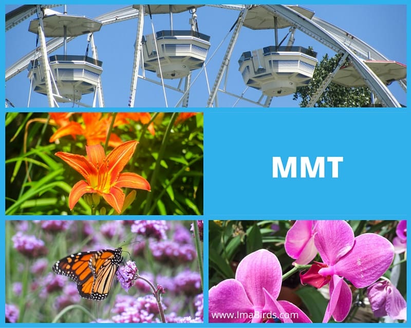 24 Quellen für lizenzfreie kostenlose Bilder