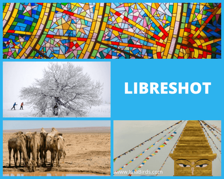 24 Quellen für lizenzfreie kostenlose Bilder